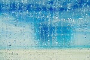 Humidity (Kelembaban): Pengertian, Jenis Serta Pentingnya