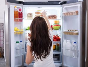 Berapa Watt Kulkas yang Cocok Untuk Kebutuhan Anda? - Madenginer